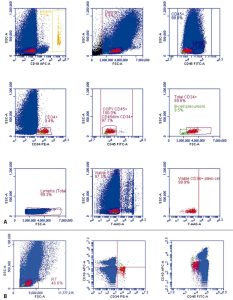 B-cell precursors (hematogones) in CD34+ hematopoietic stem cell ...
