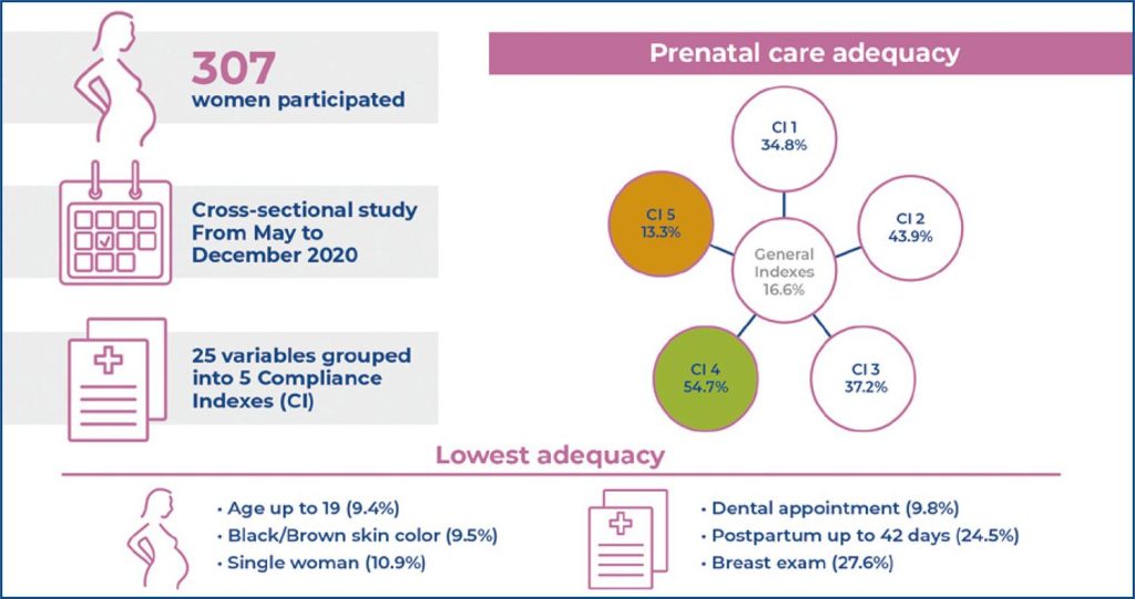 Quality assessment of prenatal and puerperium care - einstein (São Paulo)