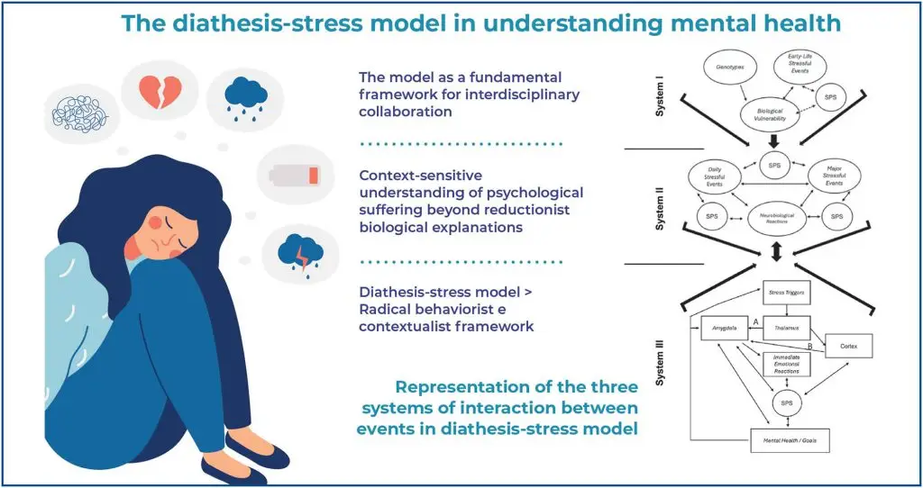 The ontology of mental health disorders: embracing the diathesis-stress ...